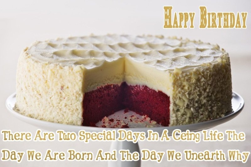 35 Wonderful Birthday Cake Quotes
